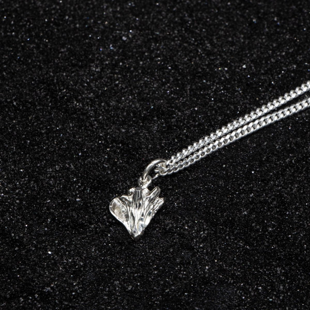 Caribbean Conch Shell Lambi Shell Pendant with Chain